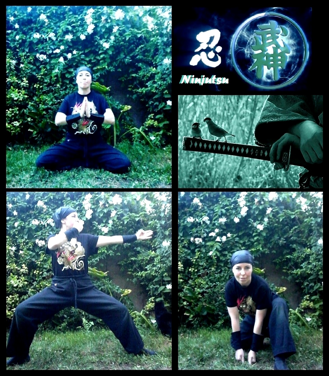 Budo Taijutsu