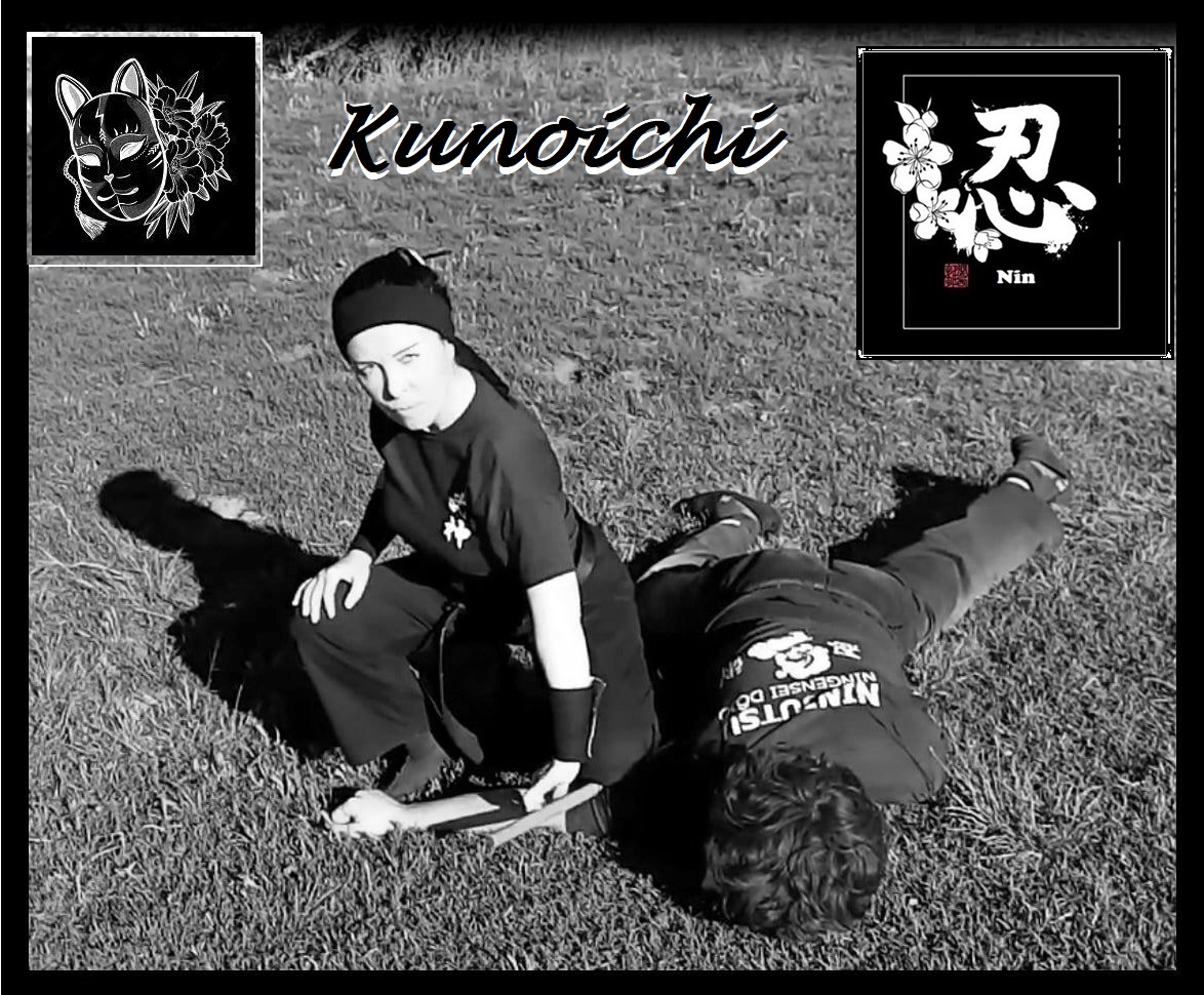Budo Taijutsu